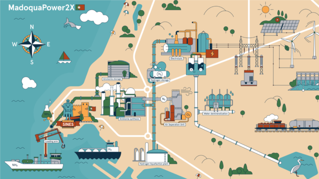 Industrial scale project to produce green hydrogen and ammonia at ZILS ...